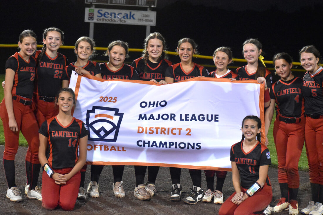 Capturing the 12U crown | News, Sports, Jobs - The Vindicator